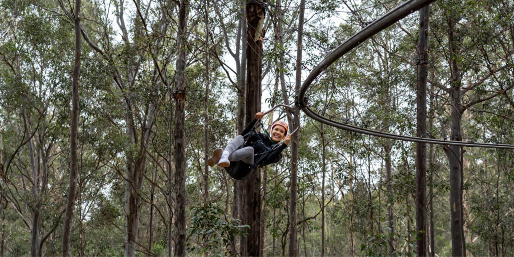 Treetops Adventure Western Sydney | Australia’s fastest Zipcoaster