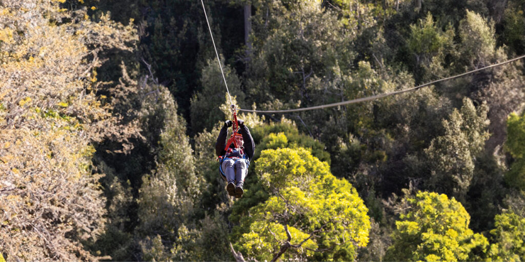 Treetops Adventure Hollybank | Tasmania's longest Zipline