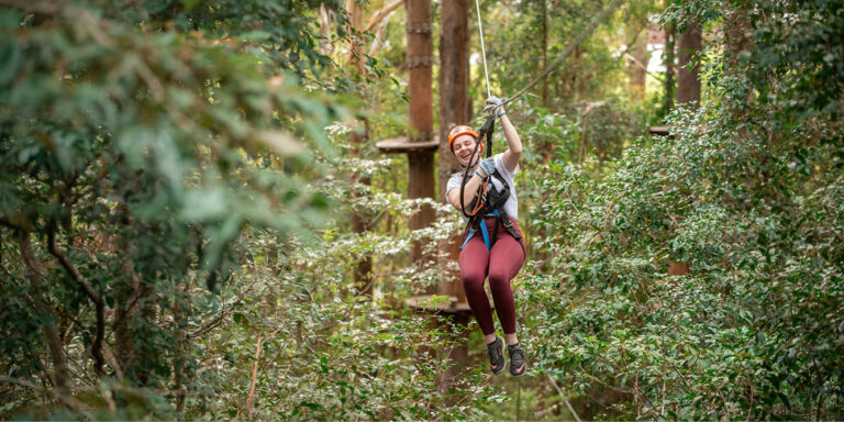 Treetops Adventure The Hills | Scenic High Ropes & Ziplines